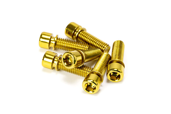 THEORY STEM BOLTS 6 pack – Fifteen Distribution