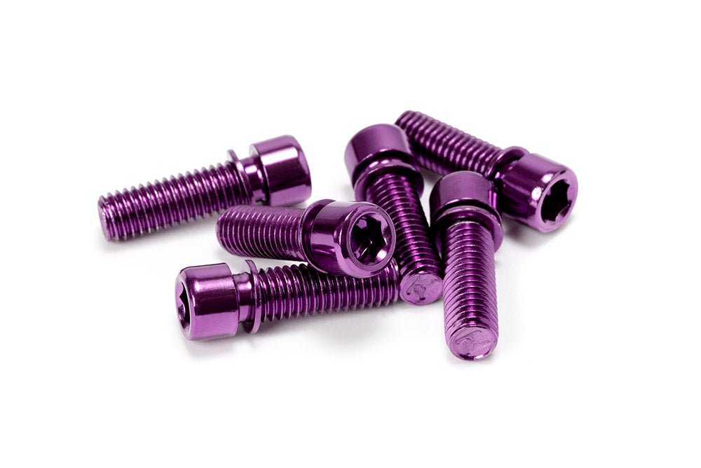 THEORY STEM BOLTS 6 pack – Fifteen Distribution